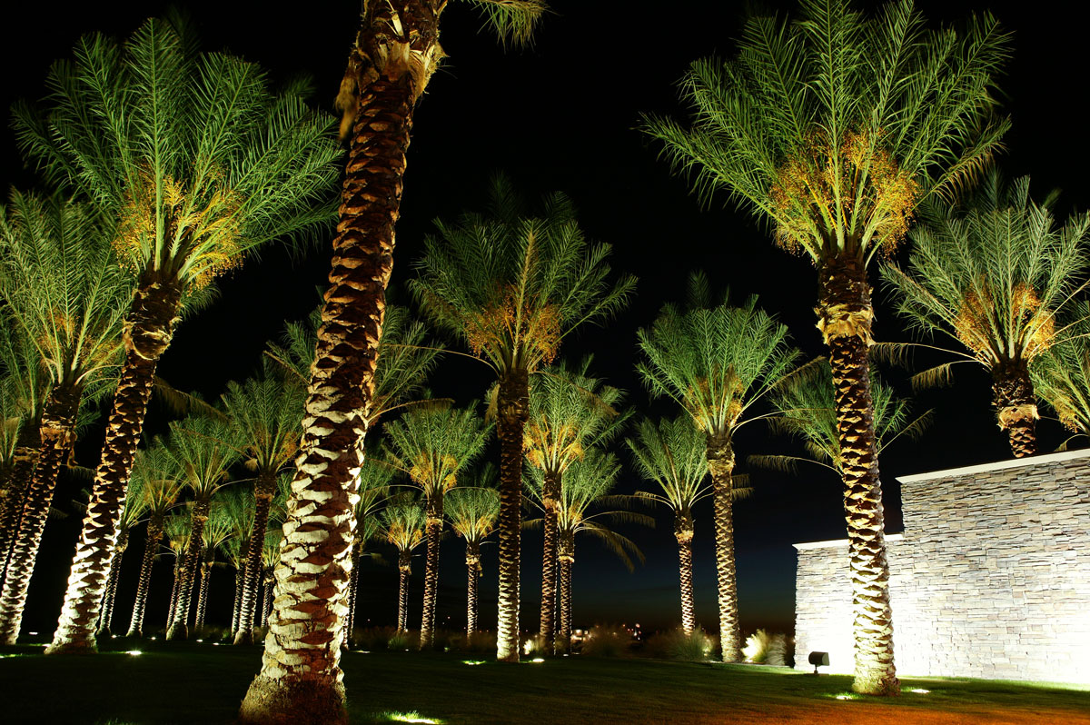 Vista Pro Residential Landscape Lighting | Elevate Your Space