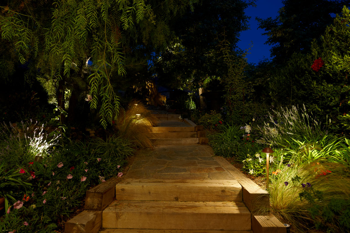 Vista Pro Residential Landscape Lighting | Elevate Your Space